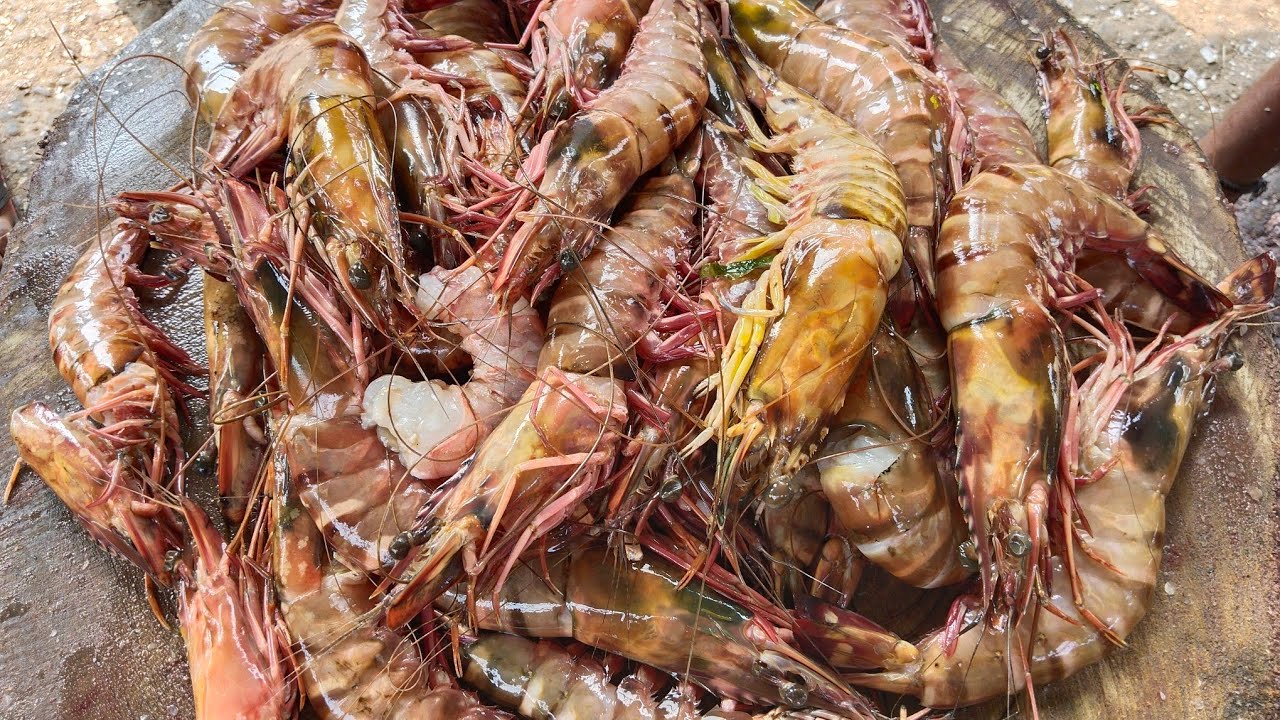 eraa fish cutting video/fishcuttingrs #fishcuttingrs #fish #kasimedu ...