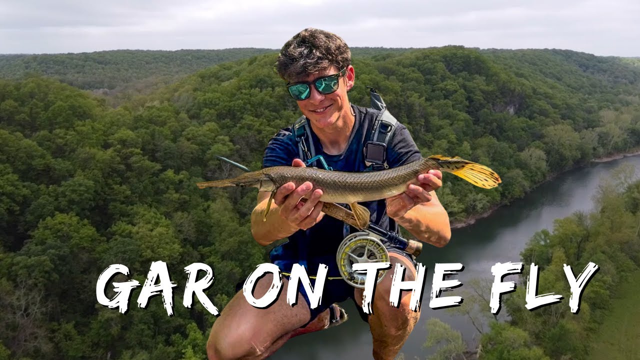 The Most underrated fish to fly fish for | Fly Fishing for gar - YouTube
