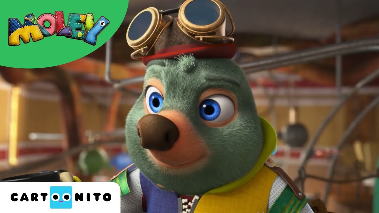 MOLEY | Müzik Konseri | Boomerang TV Türkiye - YouTube