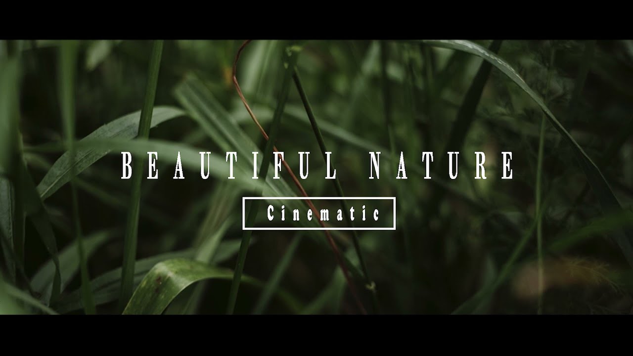 BEAUTIFUL NATURE | Cinematic Video film By Alex Trip - YouTube
