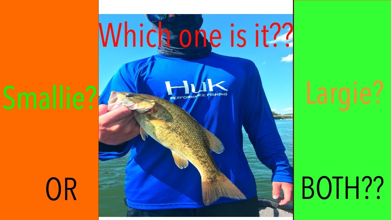 Smallmouth/Largemouth Hybrid Bass!?! | Lake James Mean Mouth Bass - YouTube