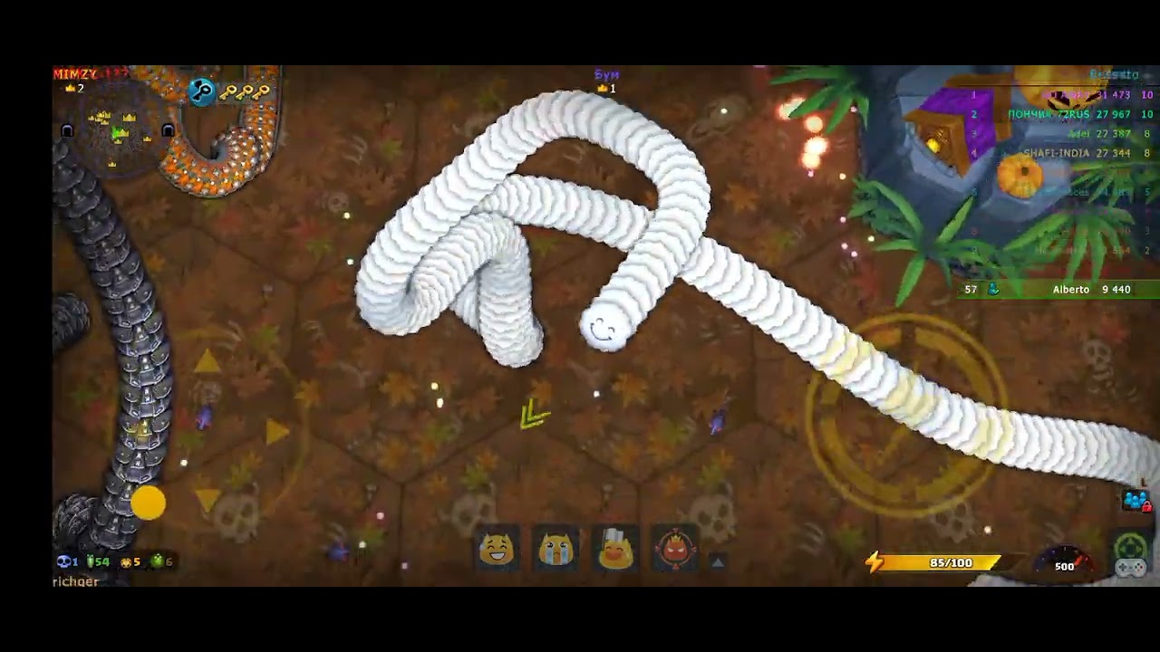 Cacing cacing raksasa - YouTube