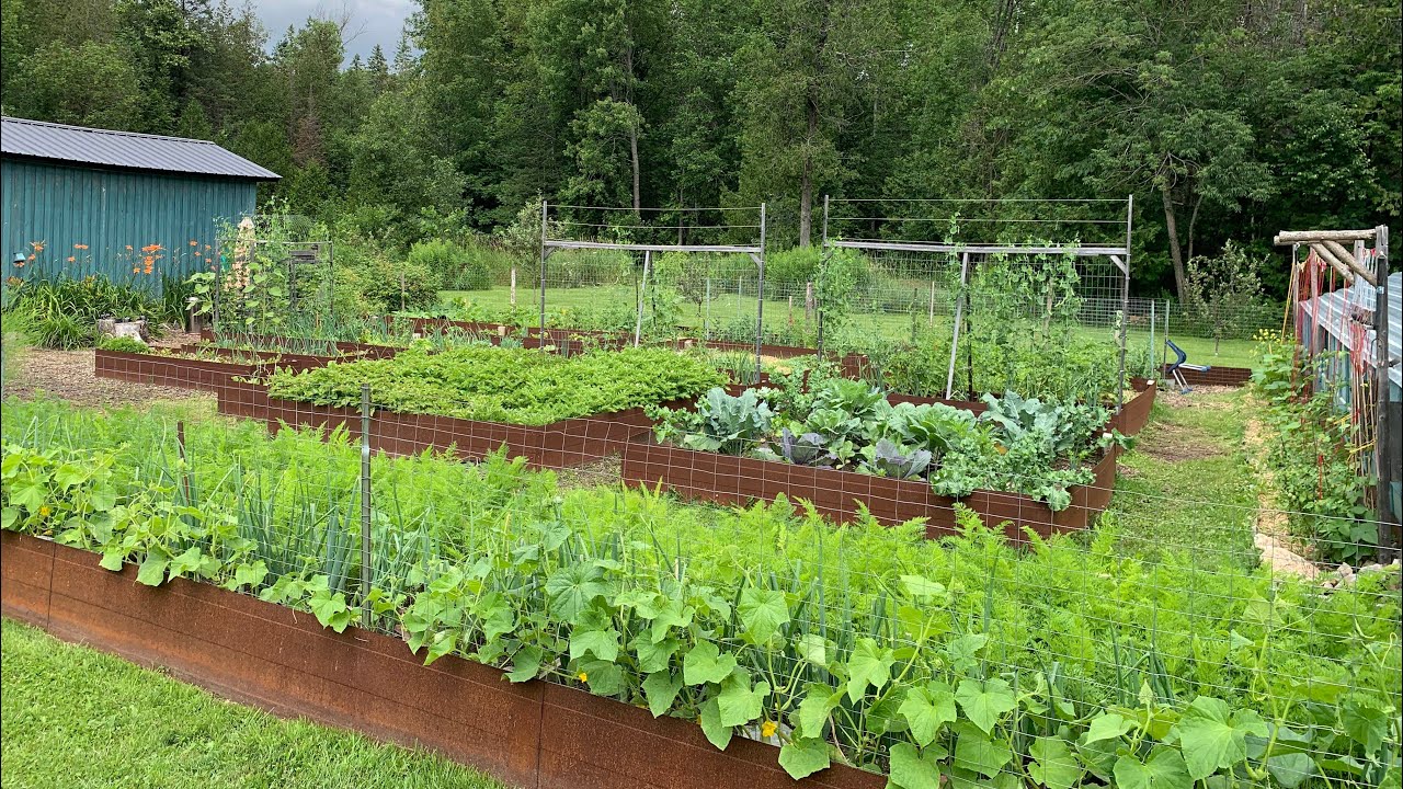 July garden tour at The Life Of Riley HOMESTEAD - YouTube