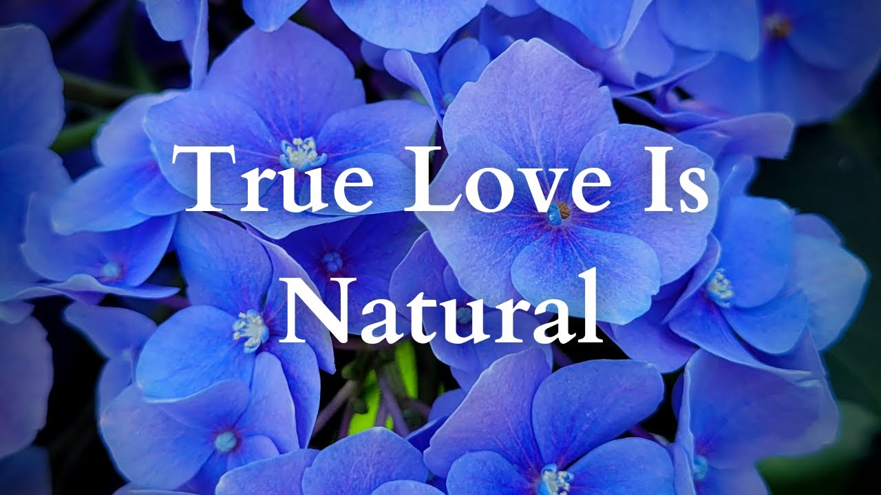 True Love Is Natural: Beautiful Love Poem - YouTube