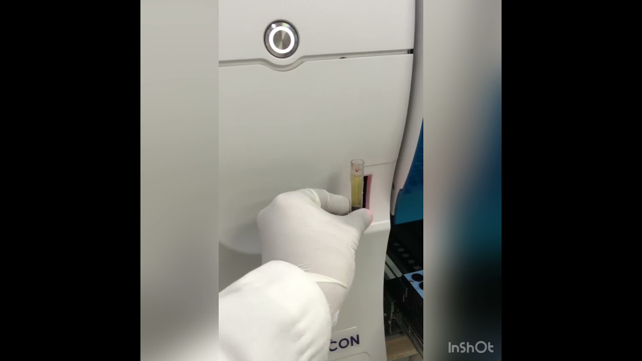 Práctica de TP y TPT en equipo automatizado - YouTube