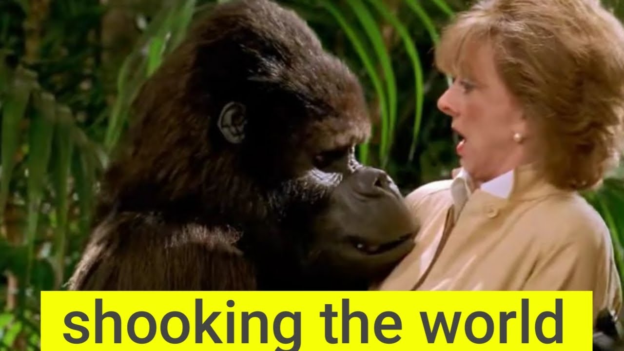 "shocking truth" gorilla can do this thing ? - YouTube