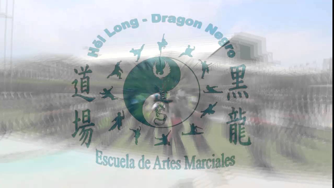 Exibicion Verano 2016 Escuela Hei Long - Dragón Negro - YouTube