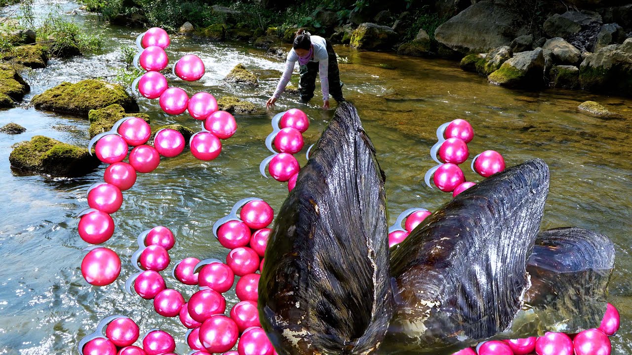 😱😱Lucky discovery! Giant clams spit out countless brilliant pearls ...