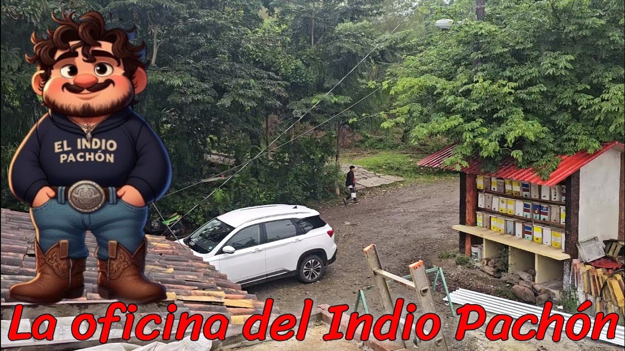 Avance de la Oficina Pachona - YouTube