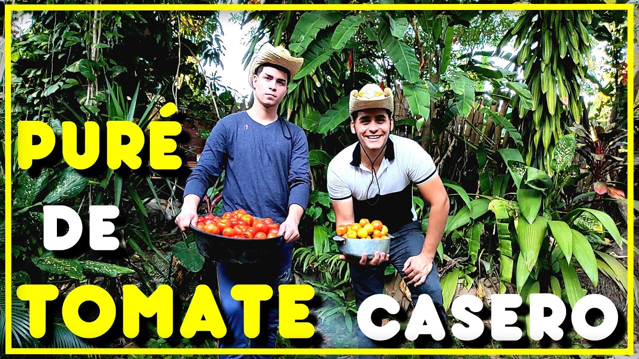 Puré de tomate natural 🍅 para que no Gastes más ni compres de lata ...