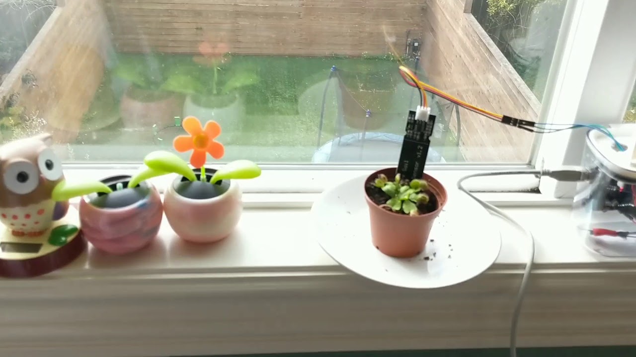 Venus Flytrap Plant Speech Translator - YouTube
