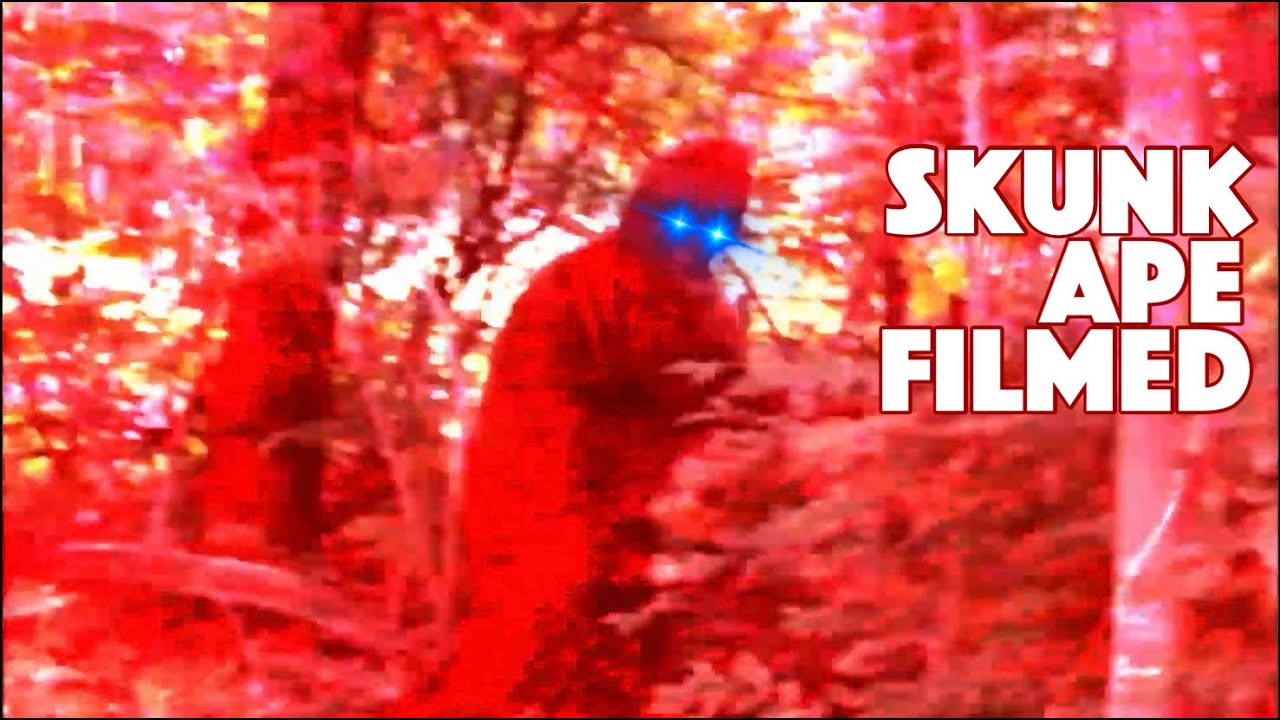Mind at Large - SKUNK APE (Official Music Video) - YouTube