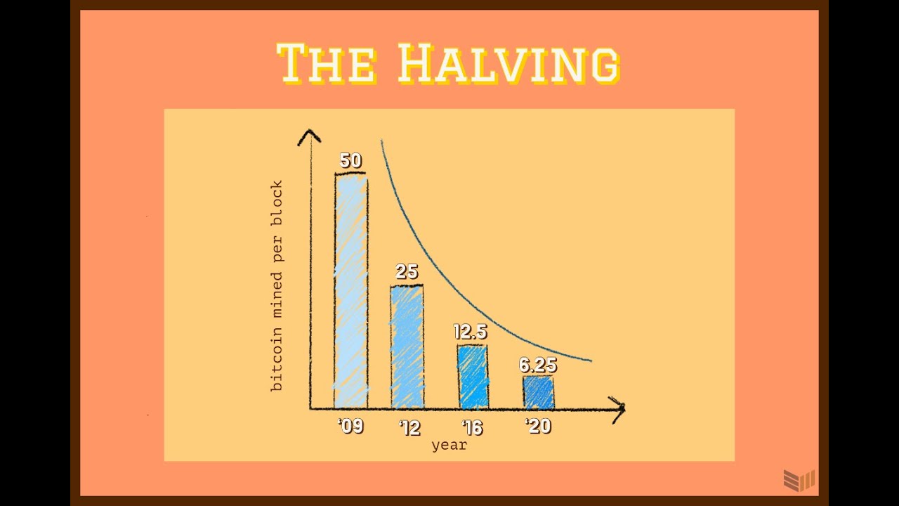 DAY 6 The Halving - YouTube