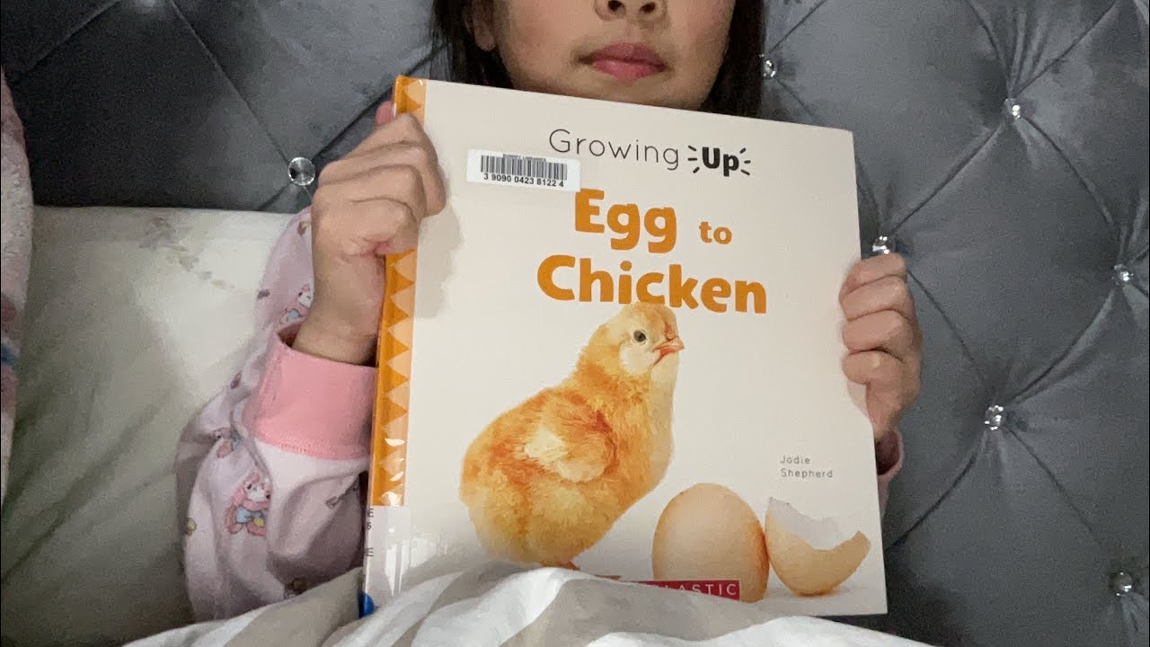 Growing Up Egg to Chicken by Jodie Shepherd kids book read aloud - YouTube