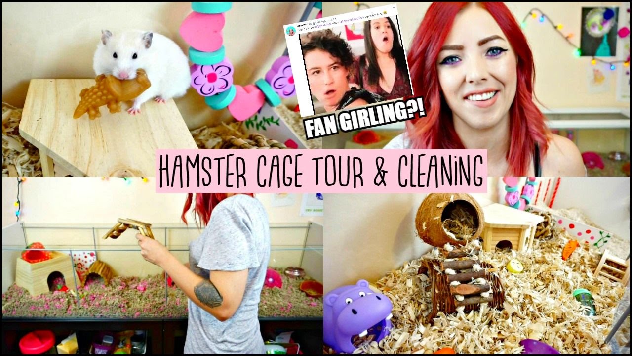 HAMSTER CAGE CLEANING AND CAGE TOUR! IKEA DETOLF | Also, Who am I ...