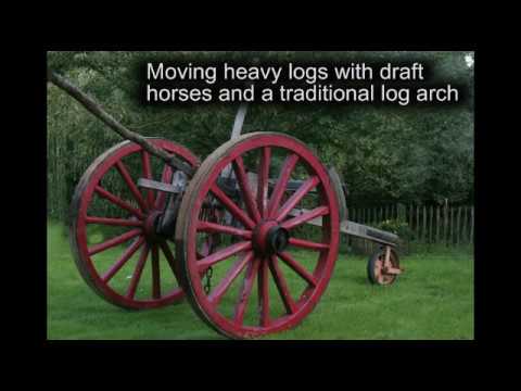Moving heavy logs with Belgian draft horses and a traditional log arch ...