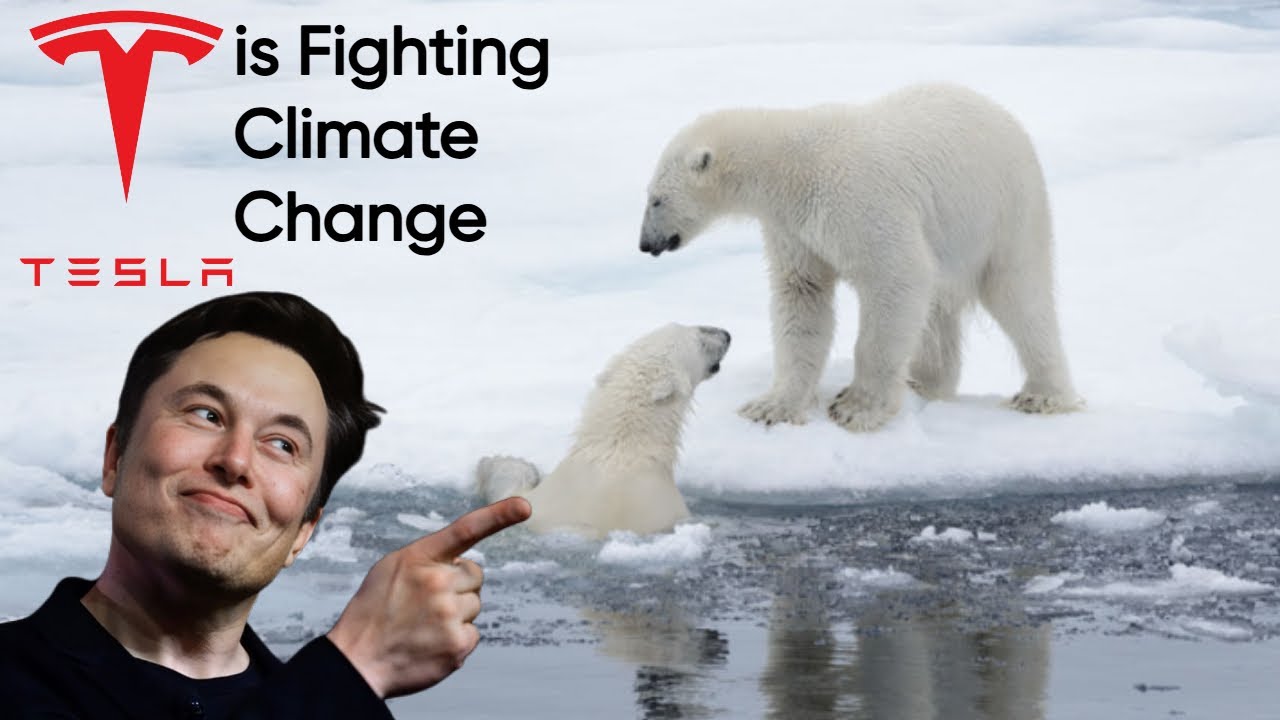 How Tesla is Fighting Climate Change with Electric Cars, Zero Emissions ...