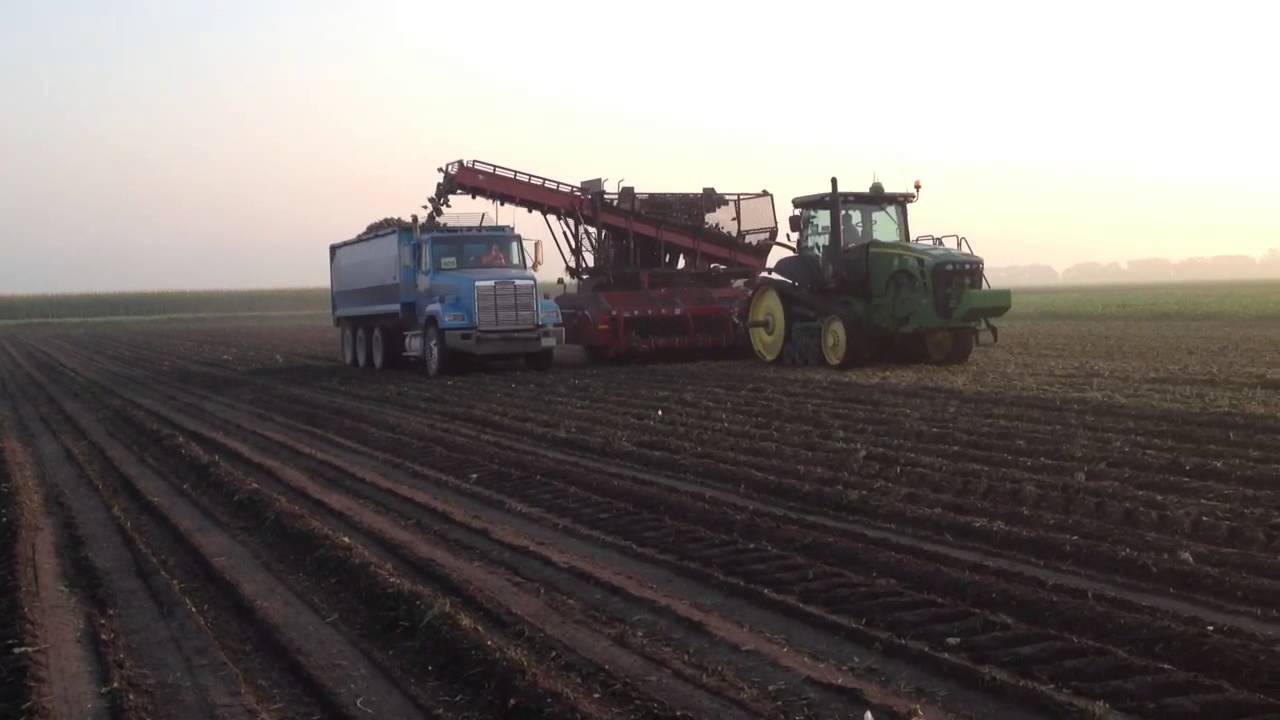 8345RT lifting sugar beets loading truck - YouTube