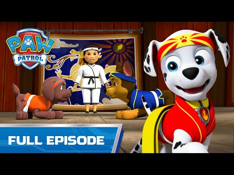Marshall Rescues Sensei Yumi’s Scroll | 219 | PAW Patrol Full Episode ...