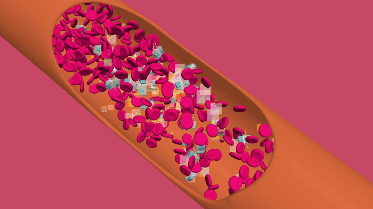 Totally Normal - Animated Cartoon for Kids - YouTube