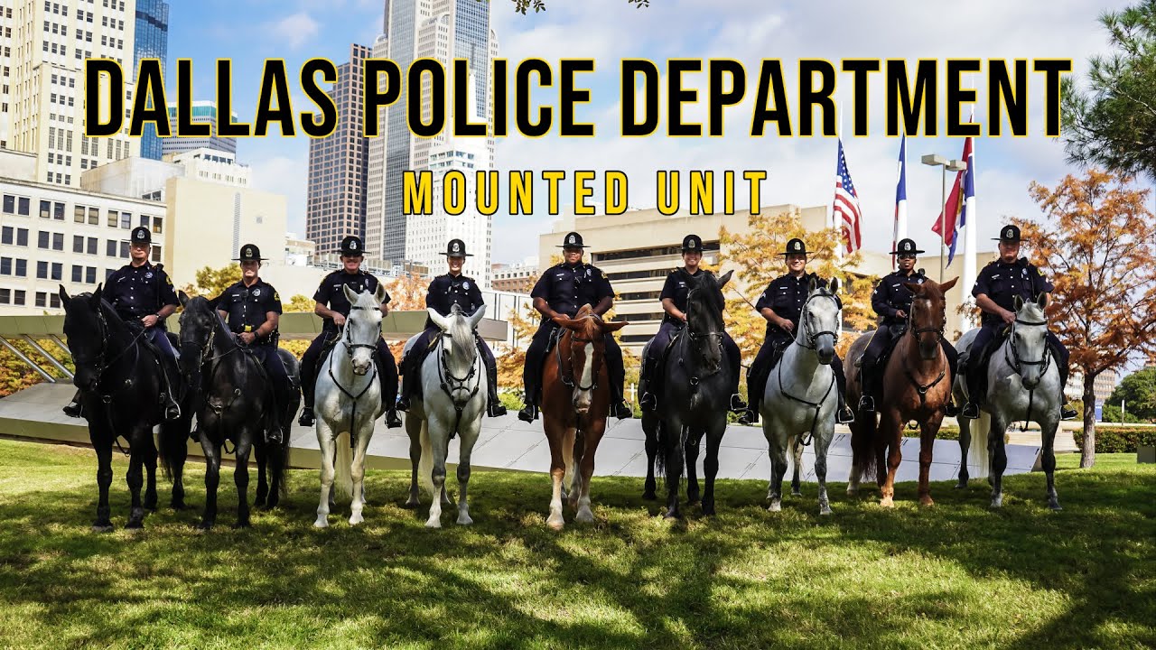 Dallas PD | Mounted Unit Makes Strides Into History - YouTube