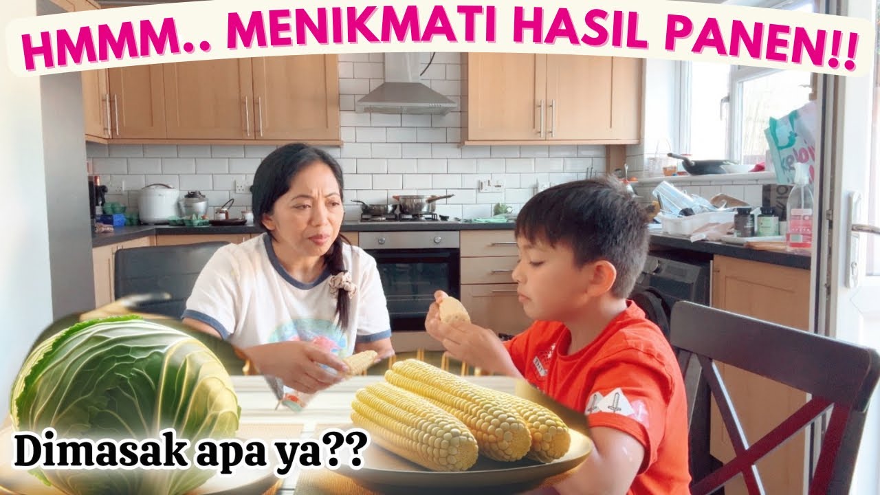 DIMASAK APA YA HASIL PANEN KALI İNİ??? 🌽🥬 - YouTube