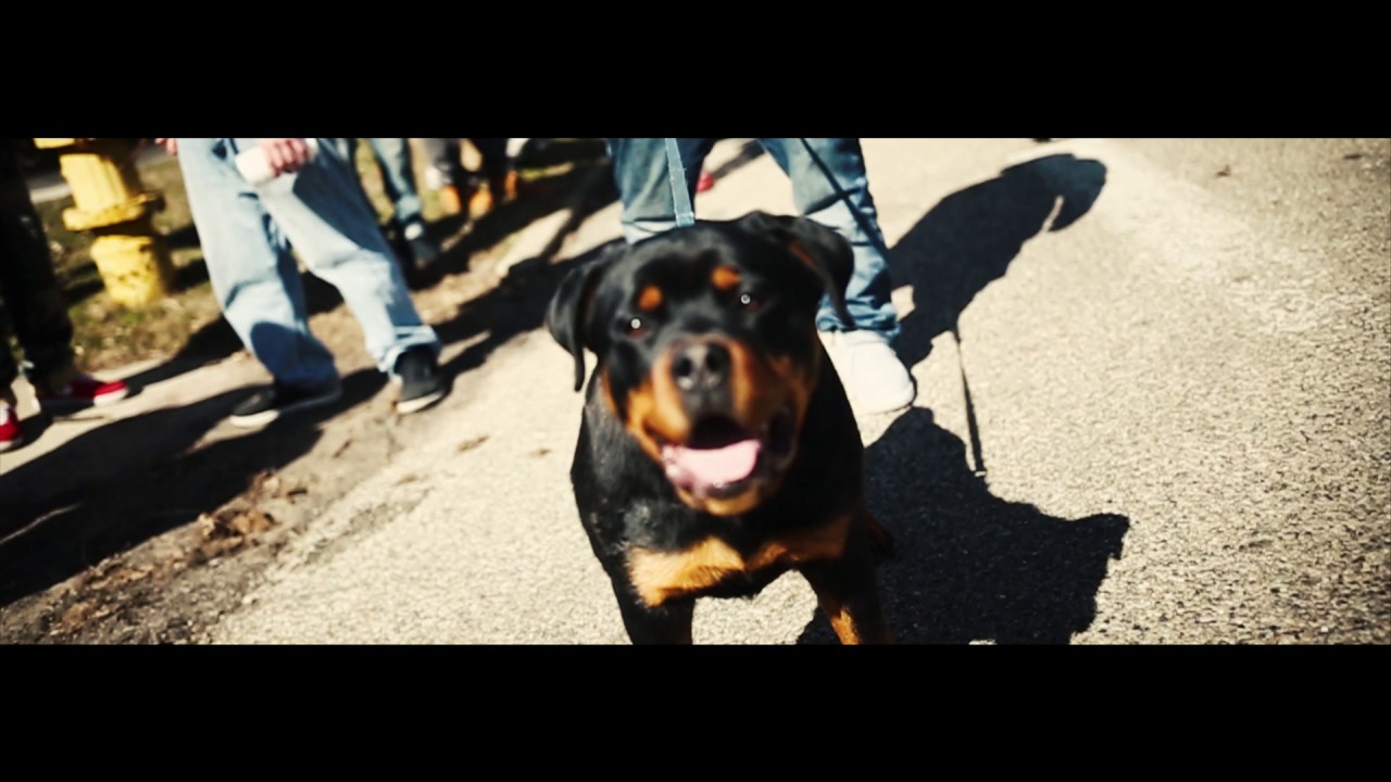 Dat Boy Spook Northside Music Video - YouTube