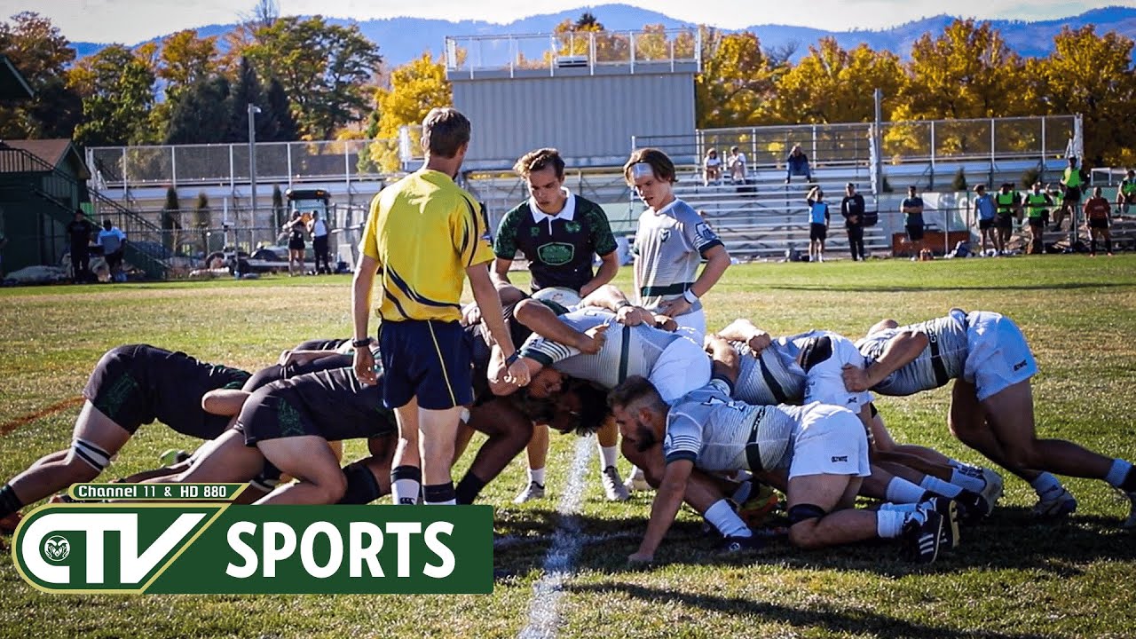 Fight Like a Ram: CSU Men's Rugby Dominates the Fall Season - CTV ...