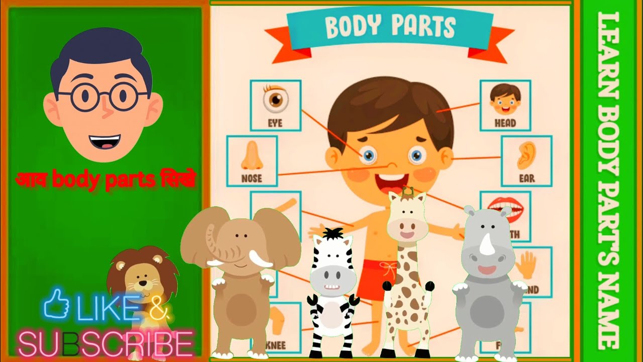 ! BODY PARTS ! ! EVS -2 ! OUR BODY ! ! ! - YouTube