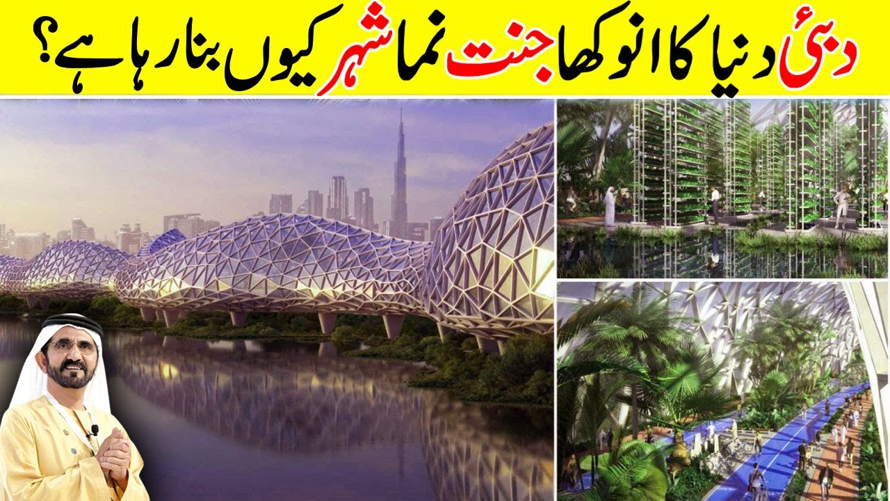 The loop Project of Dubai | Heaven of Billionaire | Amazing Info - YouTube