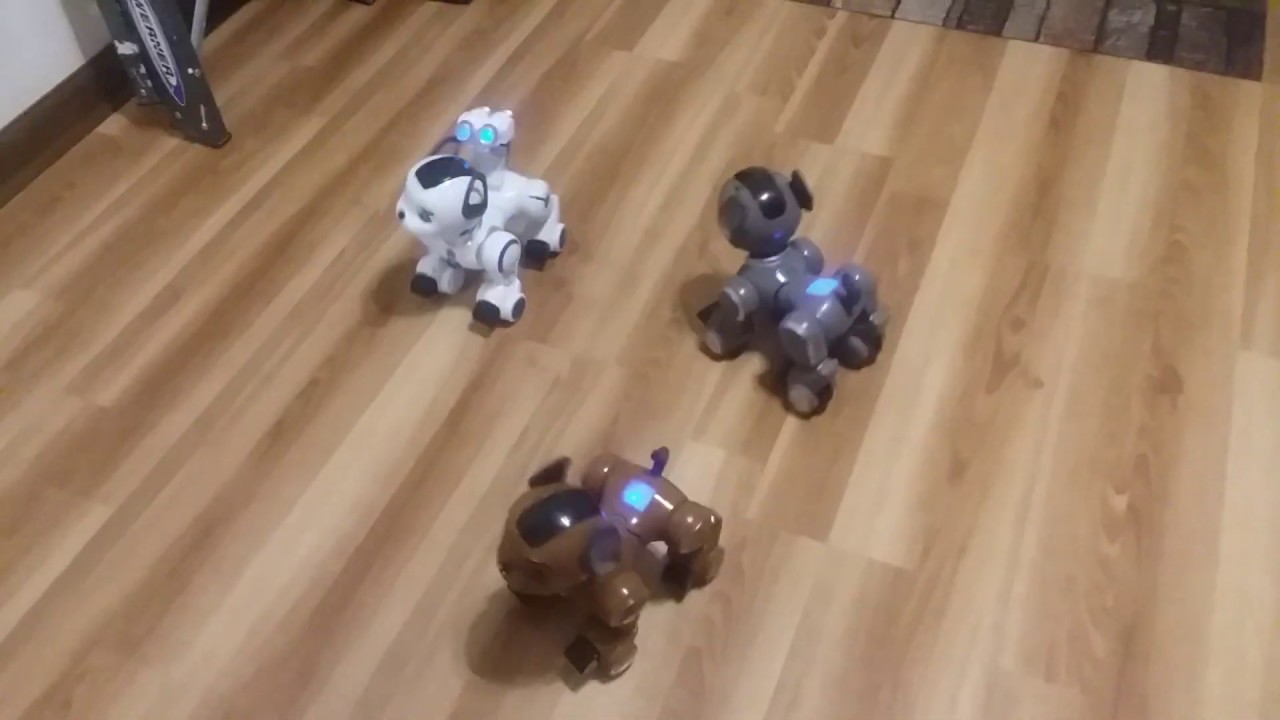 Le Neng Toys: Wow! Dog (Samples/Finalized Units) - YouTube
