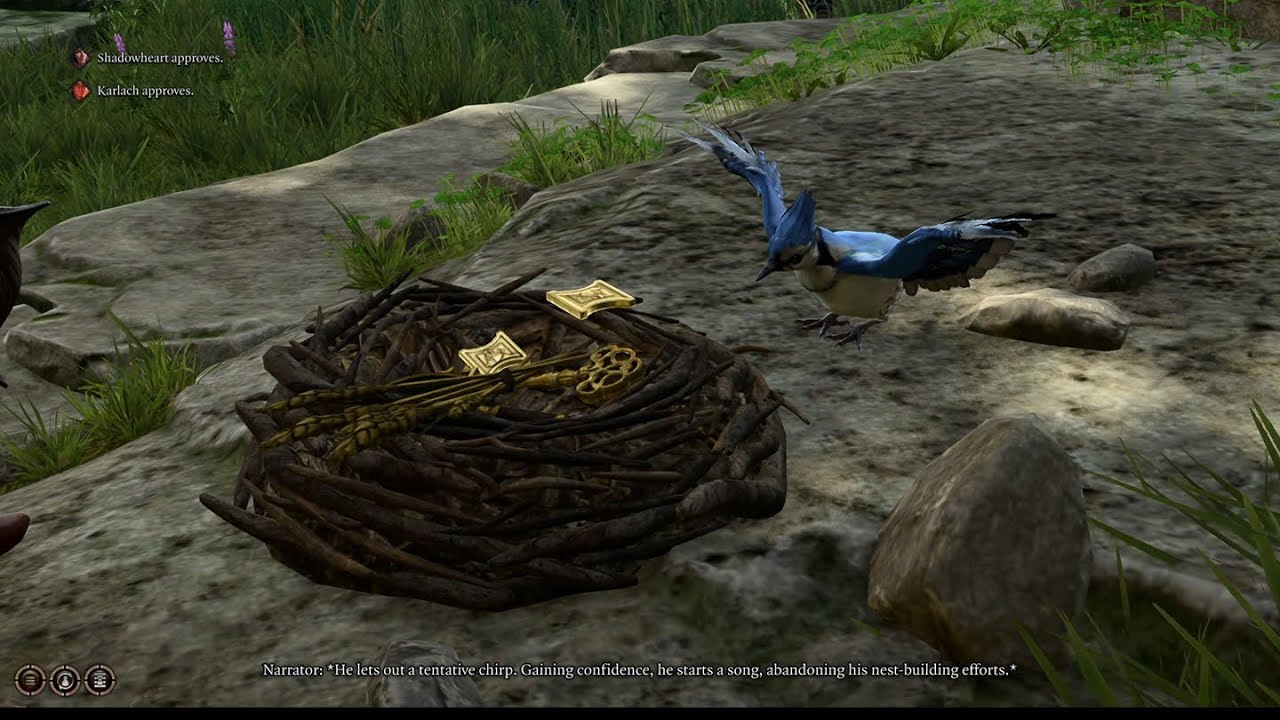 BG3: Bard helps bluejay Topaz - YouTube