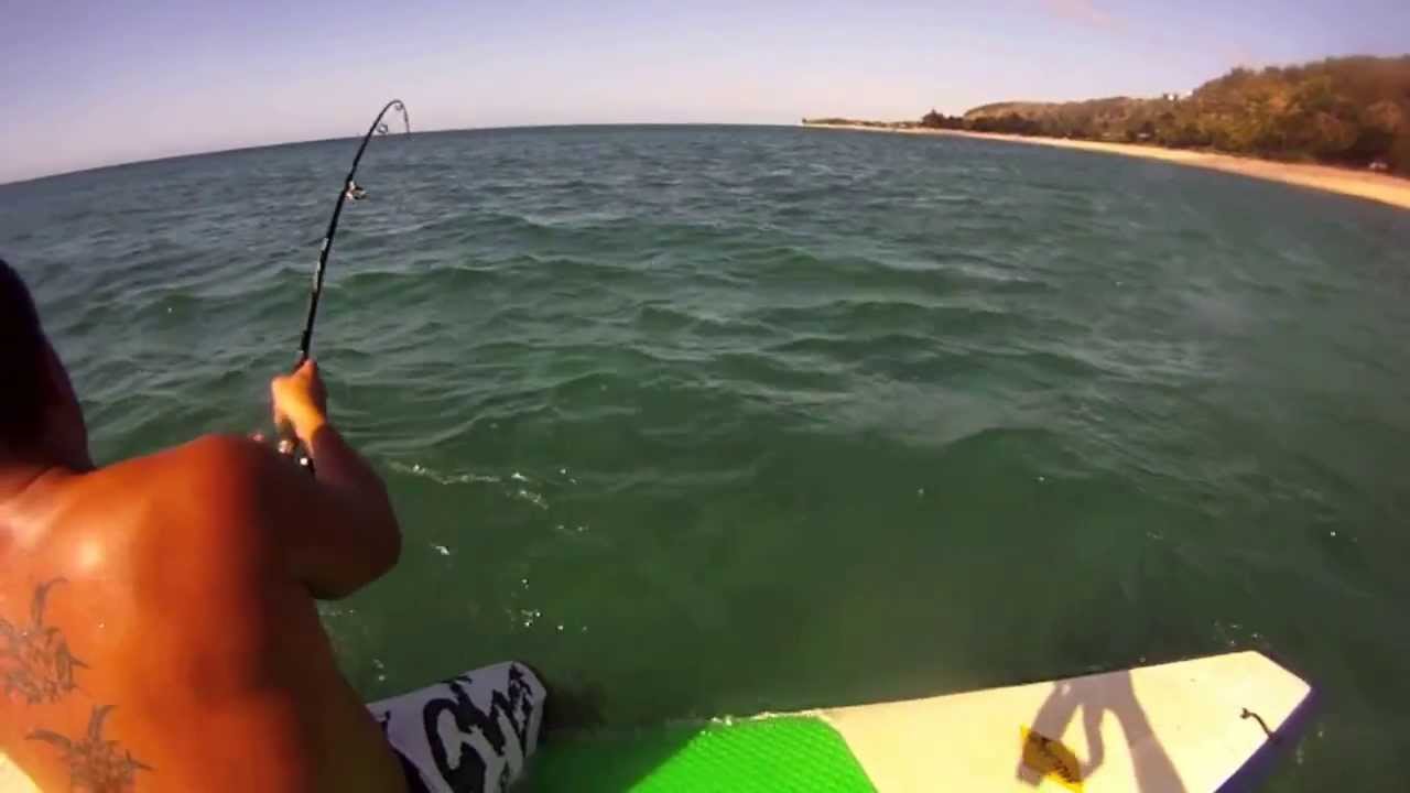 NORTH SHORE SUP FISHING - YouTube