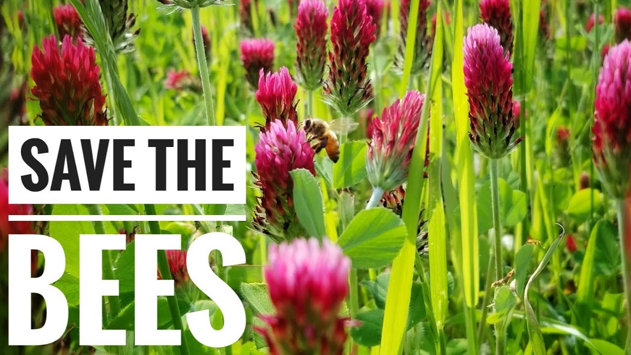 KEEP on KEEPING | Making Things RIGHT Again 🐝 - YouTube