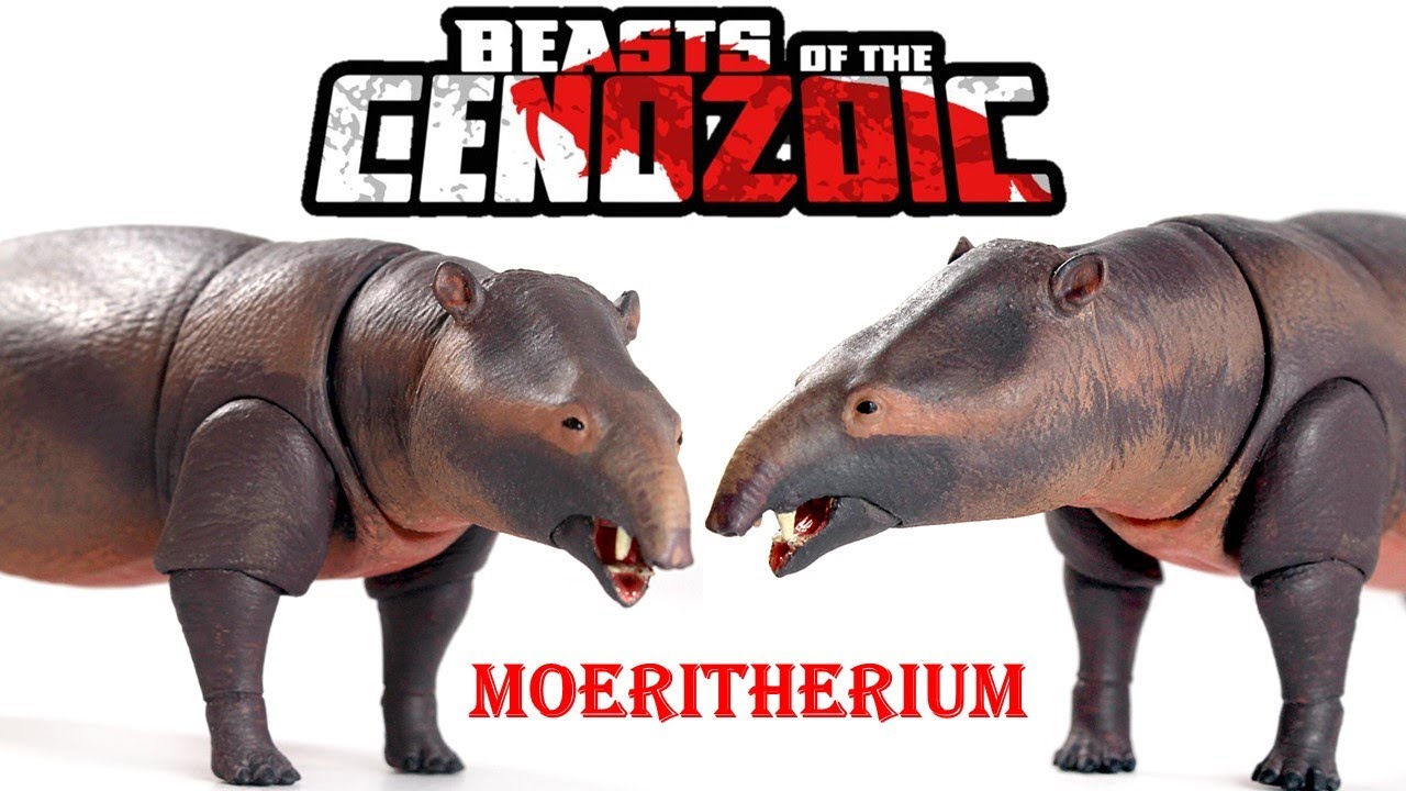 beast of the cenozoic moeritherium - YouTube