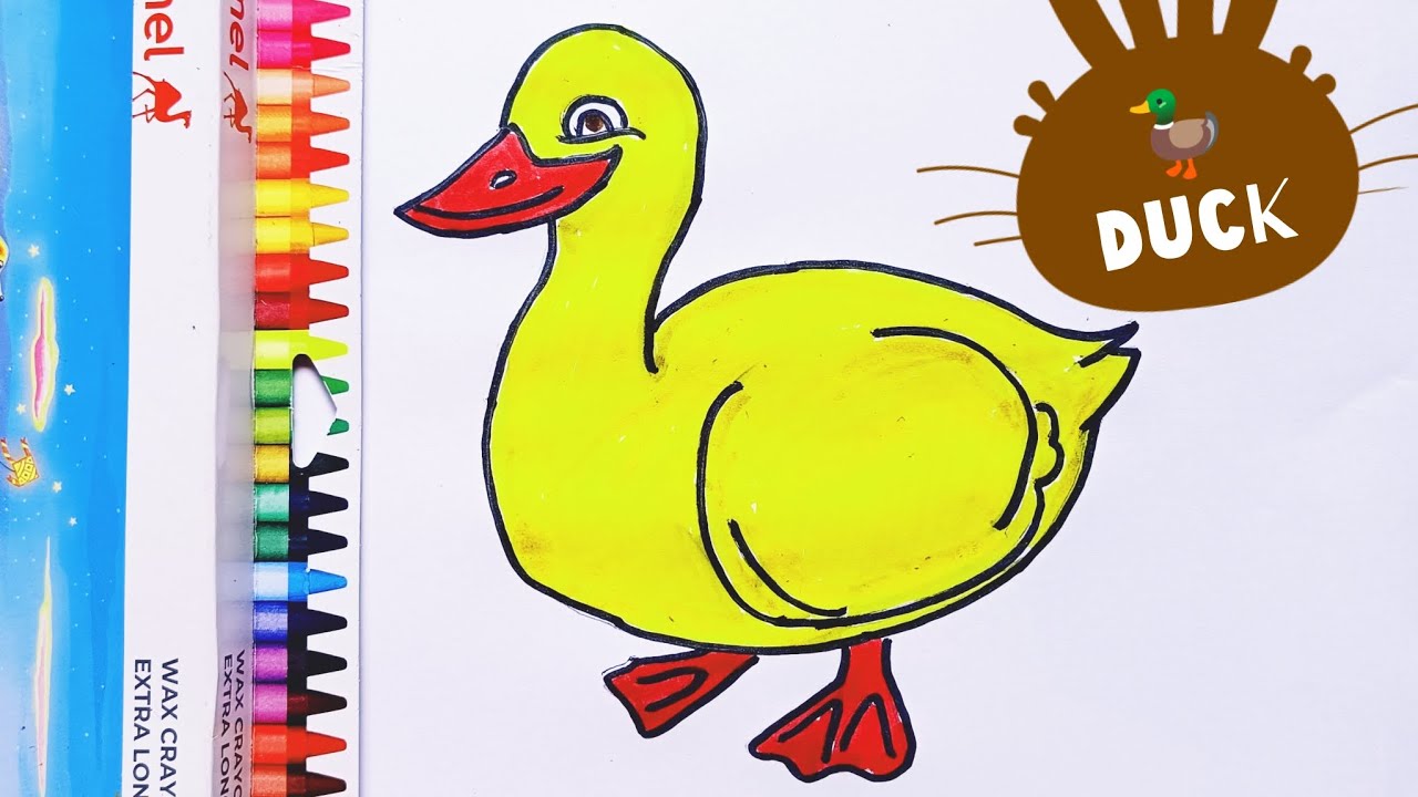 how to draw 🦆duck//duck//kids drawing#@kidslearningzone5 - YouTube
