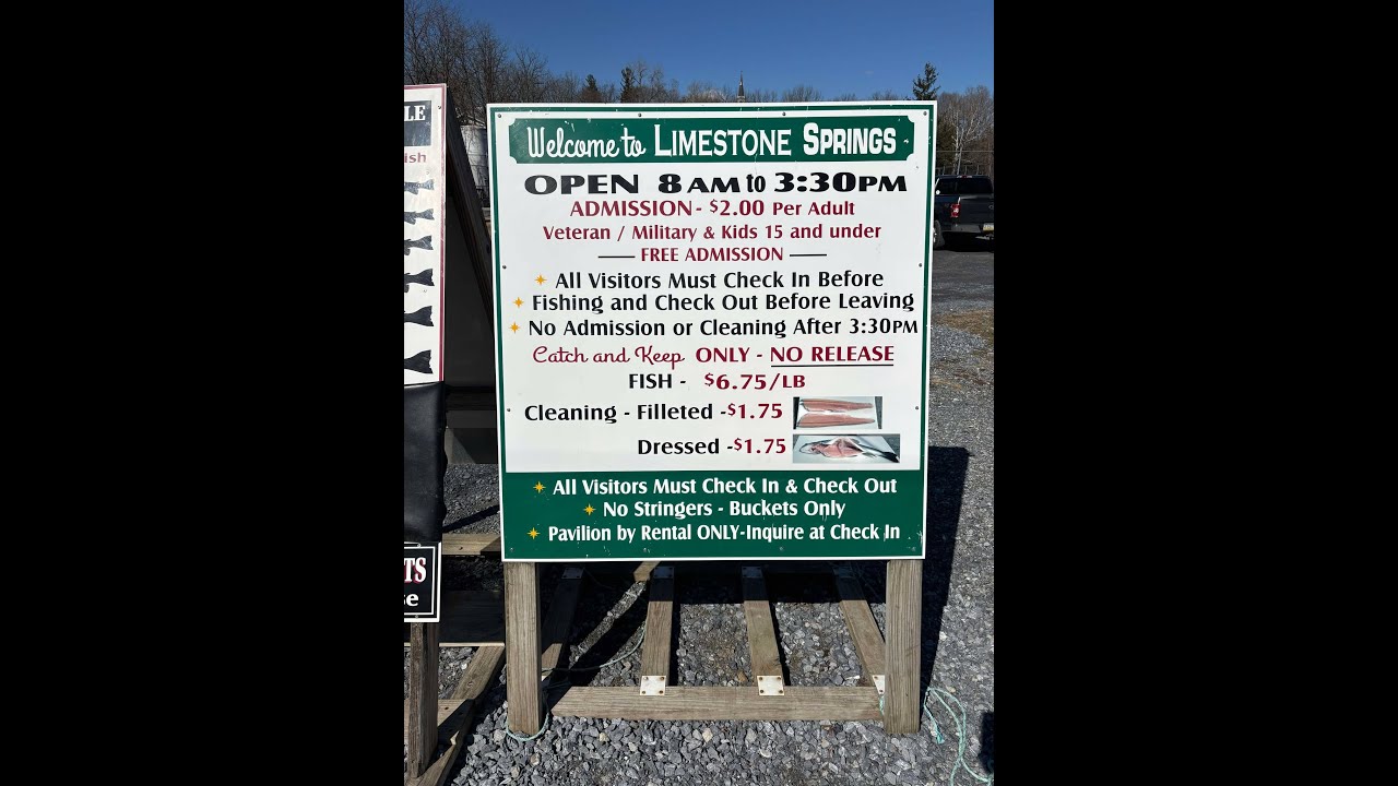 Family Fishing Trip to Limestone Springs - YouTube