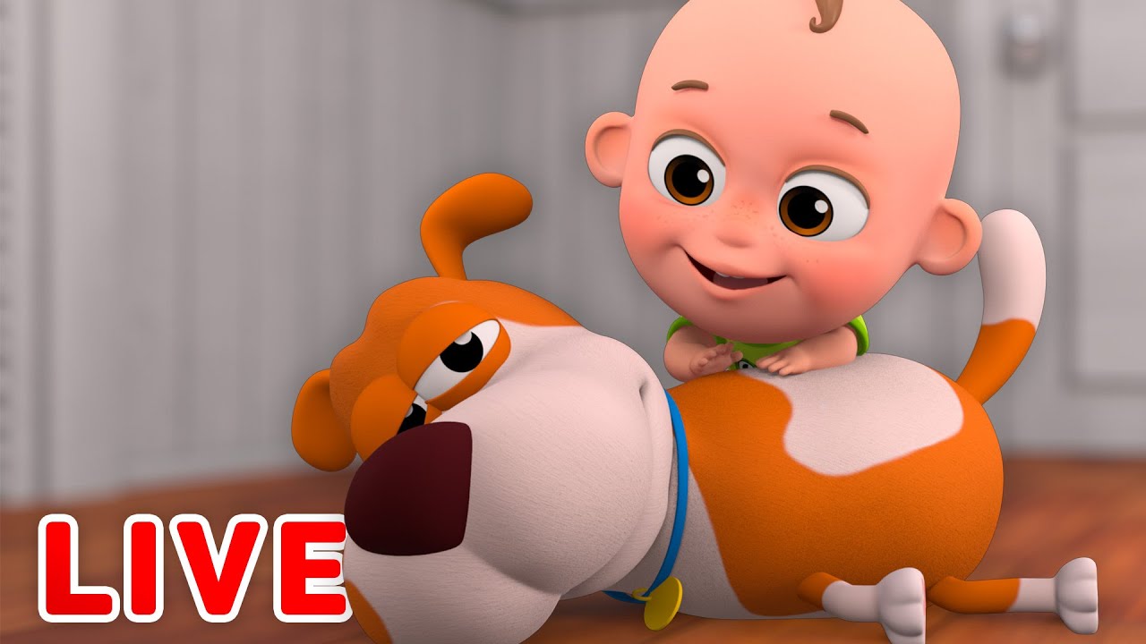 🔴 LIVE 🎅 All Hello Tiny Songs ! 🎄 Best Nursery Rhymes & Kids Songs👶 ...