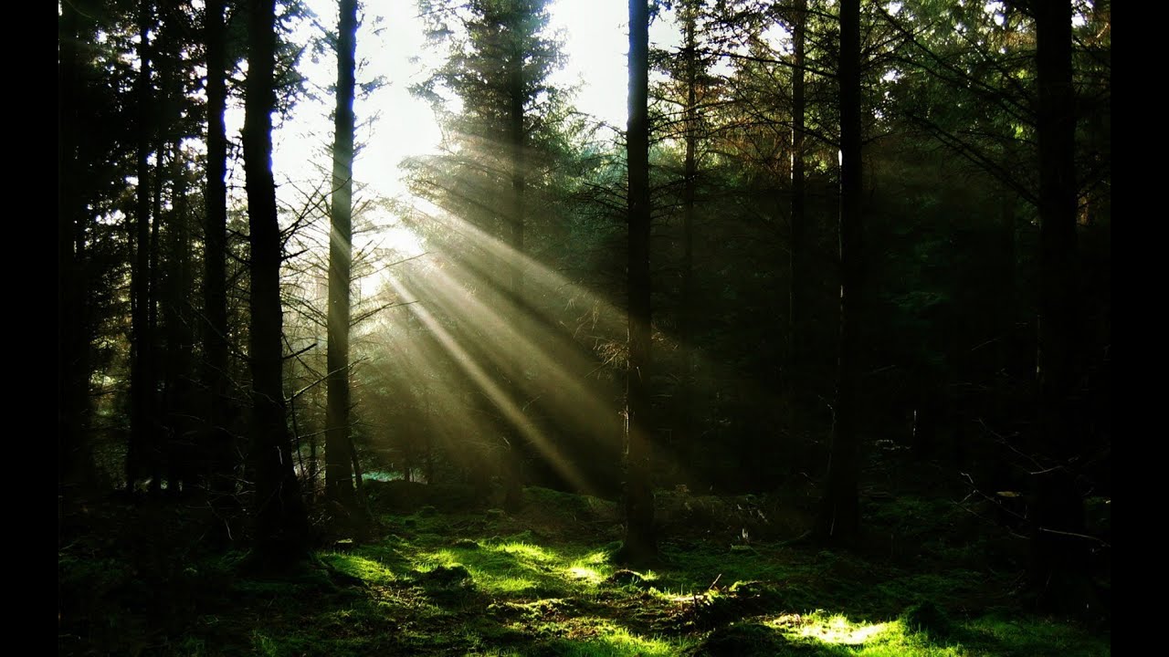 ShapeShifter HD FILM - YouTube