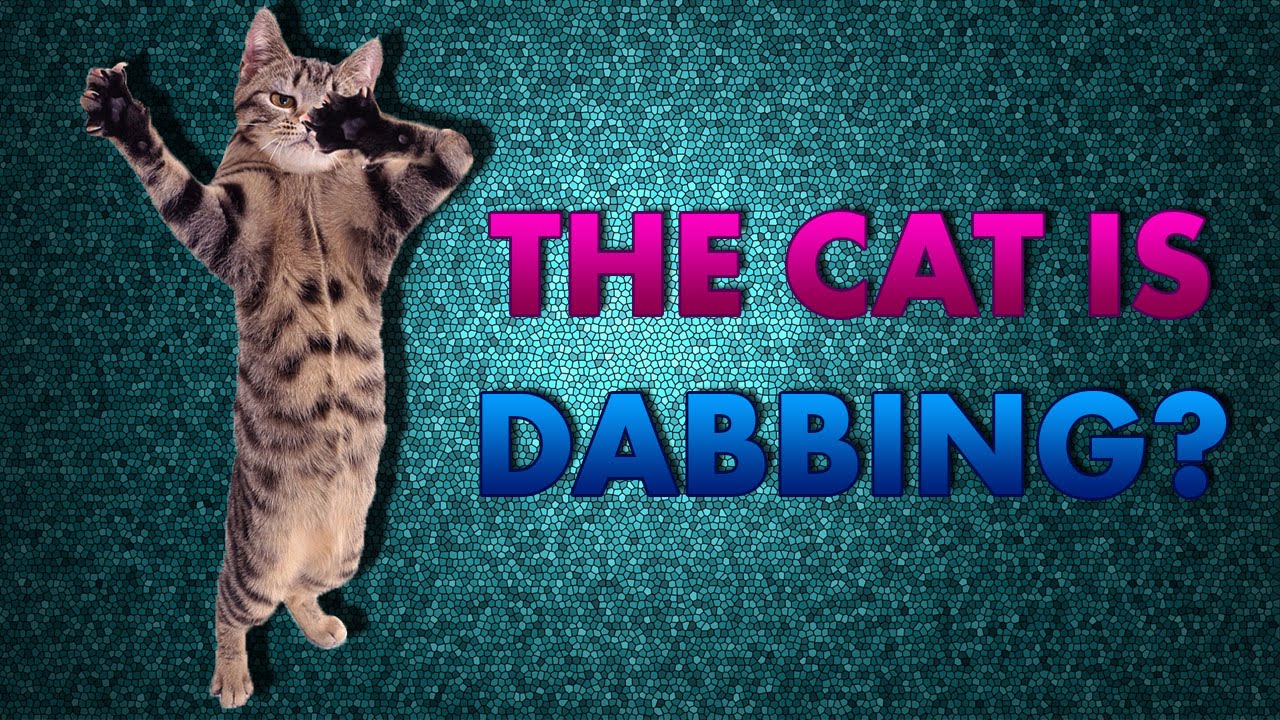 Cute cat doing the Lean and Dab! - YouTube