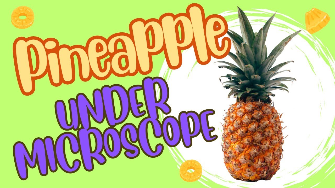 Pineapple under microscope #fruit #ytshorts #knowledge - YouTube