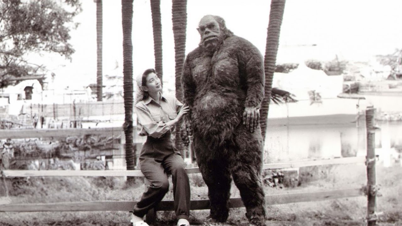 Crossbreeding Experiments From History That Only 1% Of People Know Of ...