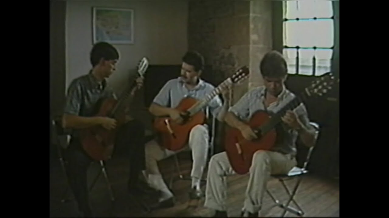Elbita (Vals Venezolano) - Armando Cisneros - Trio Raul Borges - YouTube