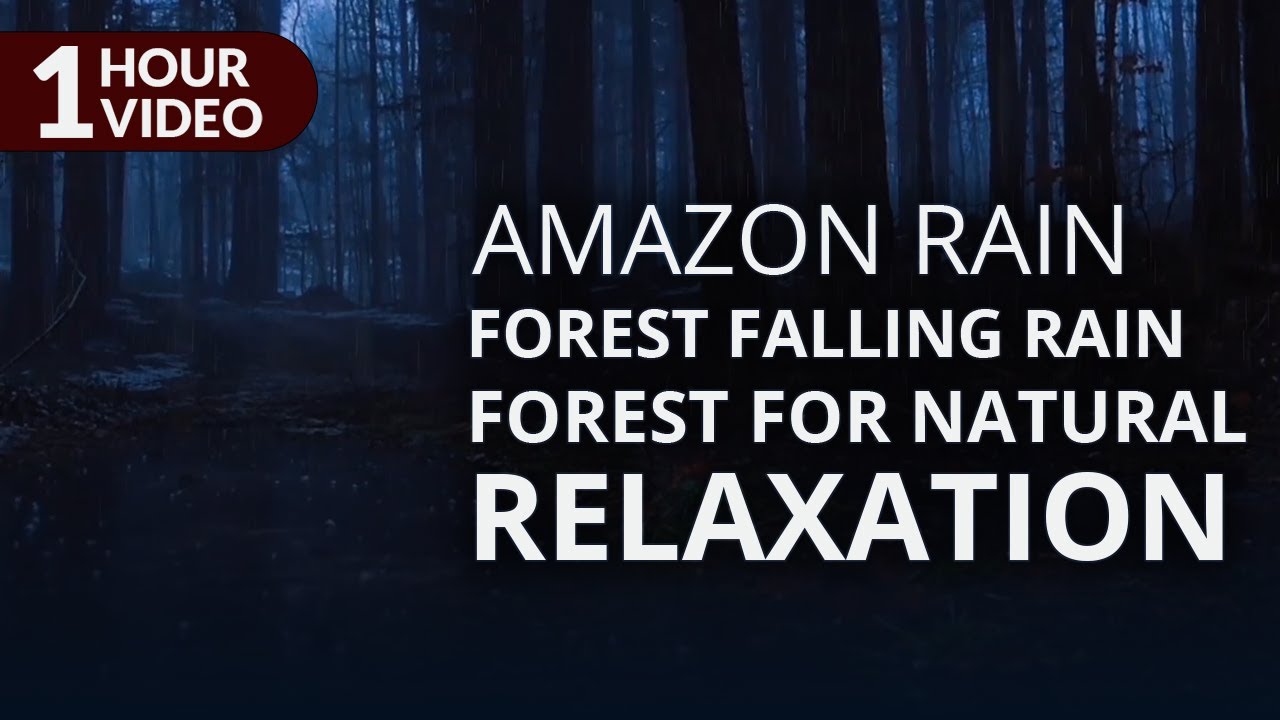 Amazon RainForest | Falling Rain Forest | For Natural Relaxation - YouTube