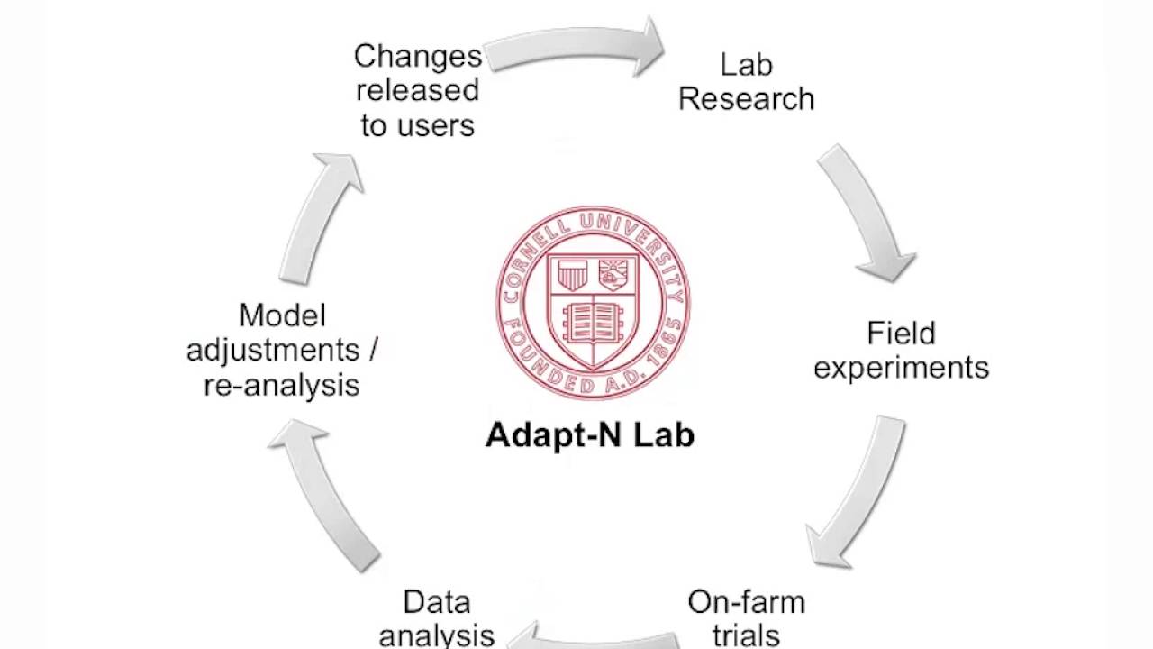 Adapt N – Demo Intro - YouTube