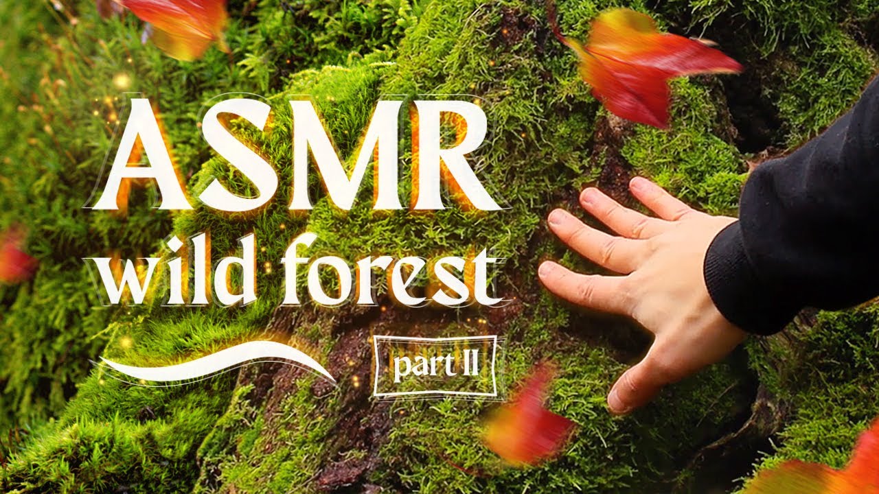 ASMR in Nature | Forest Tapping, Rustling of Leaves / Deep Sleep - YouTube