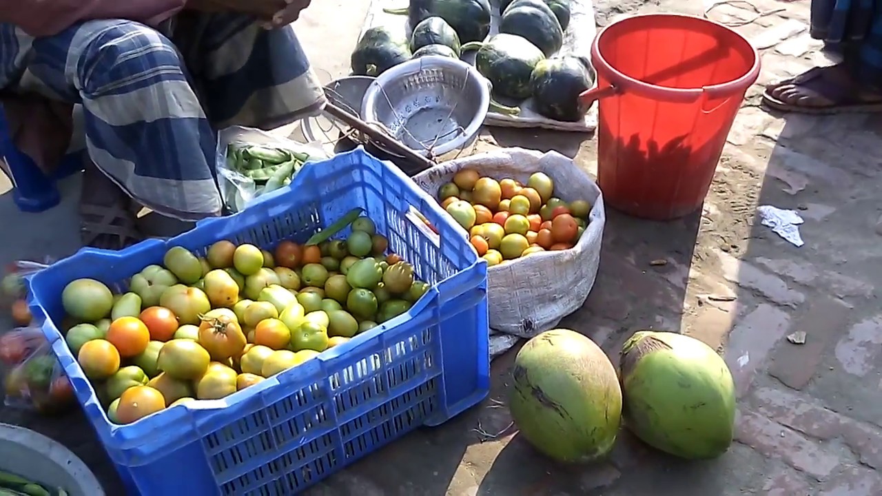 Nijhum Dip Ture 5 - YouTube