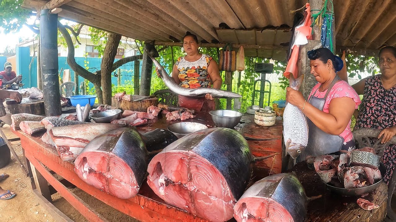 Wow! Beautiful Street Fish Market With Full Of Big Fish And Marvelous ...