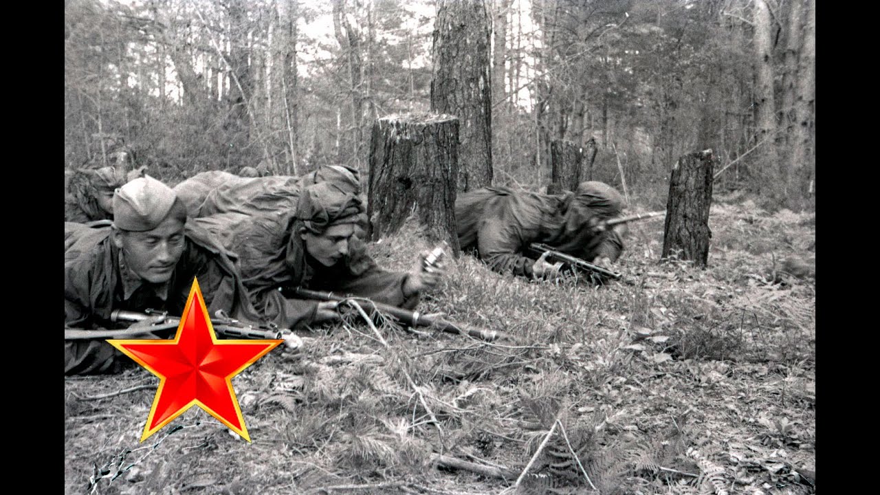 In the woods near the front - WW2 Woods Battles - Partisans photo WW2 ...