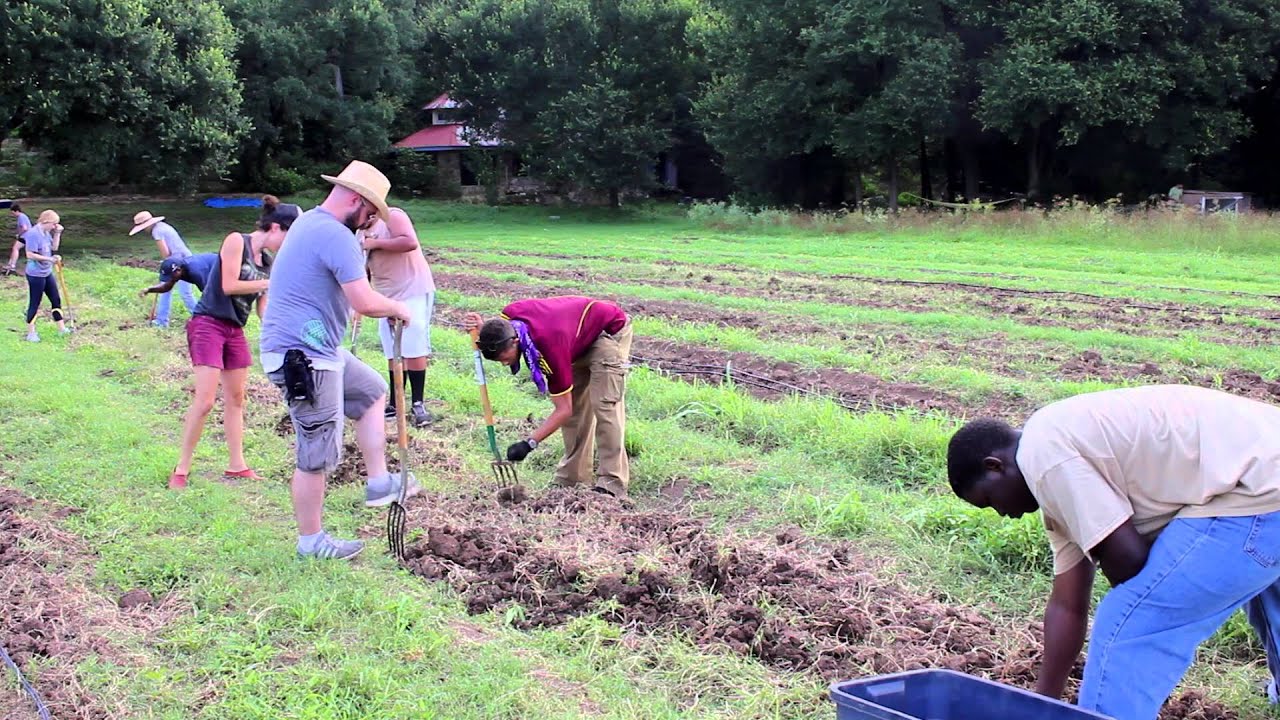 Get Involved: Urban Roots - YouTube